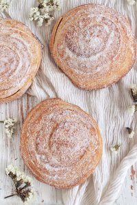 Novias de pan recetas de pan dulce mexicano conchas